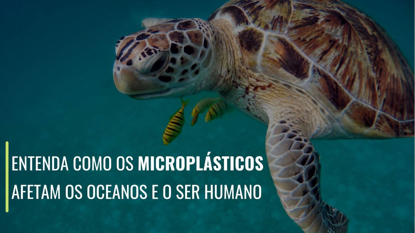 Entenda como os microplásticos afetam os oceanos e o ser humano
